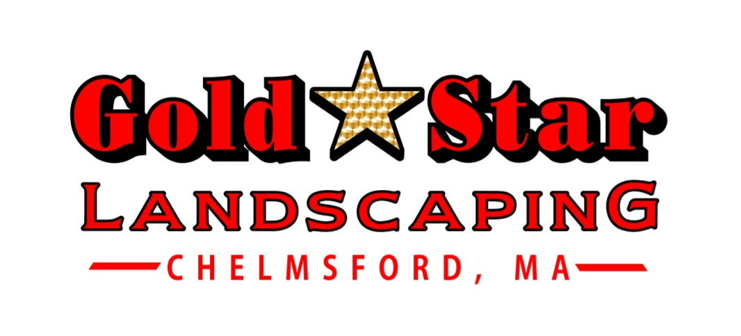 Portfolio | GOLD STAR LANDSCAPING