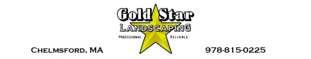 GOLD STAR LANDSCAPING | Landscaping, property maintenance, yard cleanup ...