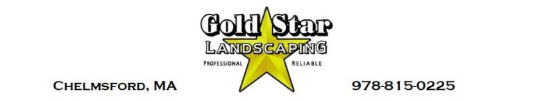 GOLD STAR LANDSCAPING | Landscaping, property maintenance, yard cleanup ...